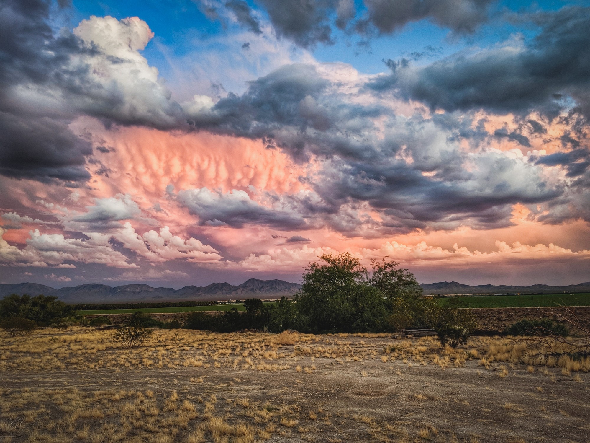 Visit and Explore Wenden, Arizona