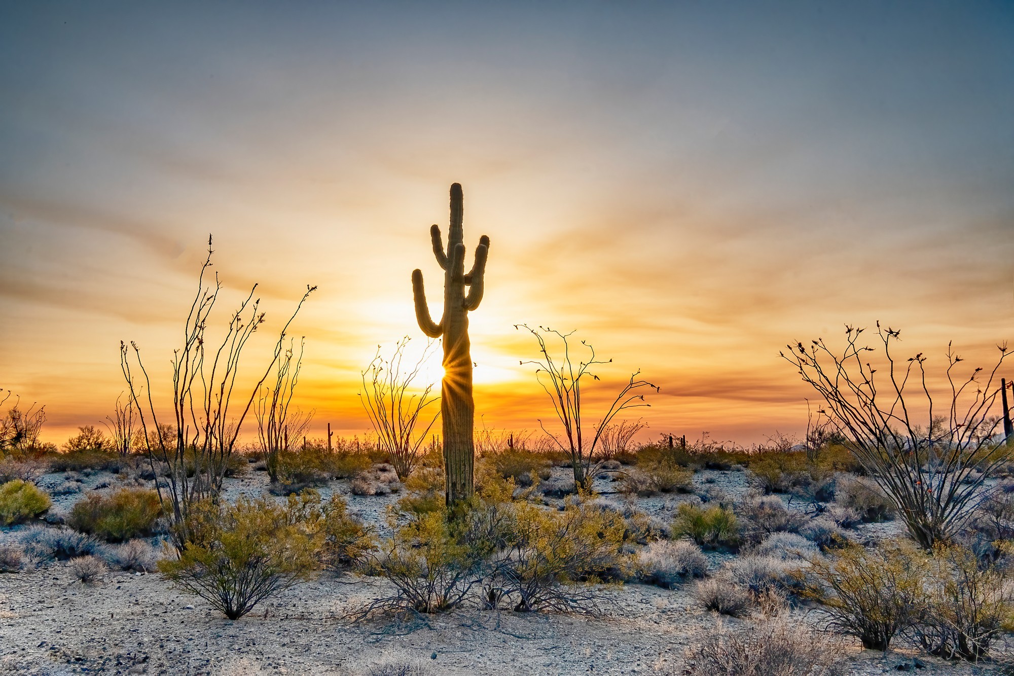 the desert is calling and I must go to Wenden Arizona!