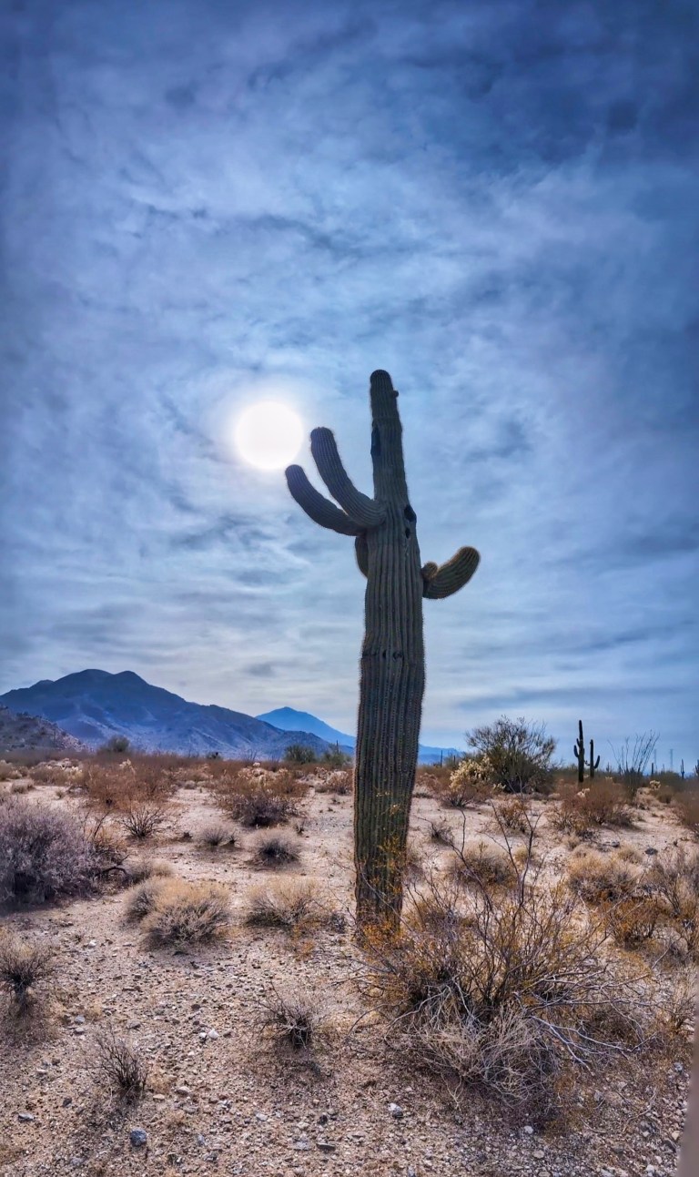 Photo Gallery – the desert is calling and I must go to Wenden Arizona!